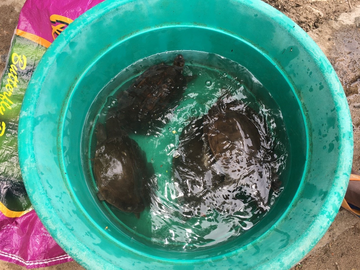 Community-Based Restoration of Minjur Pond – Search for Water!