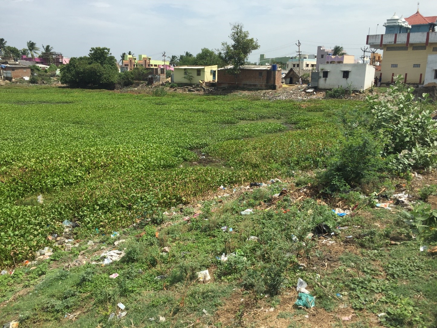 Community-Based Restoration of Minjur Pond – Search for Water!