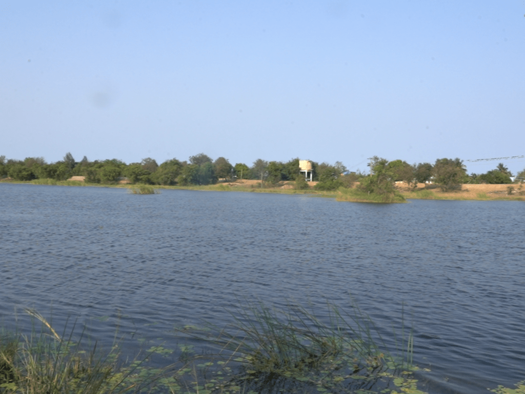Saving Quintessential Water Bodies in Chengalpet - Agaramthen Lake ...