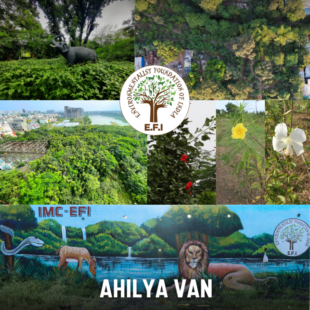 Ahilya Van, The Story of Indore's Green Lungs - Search for Water!